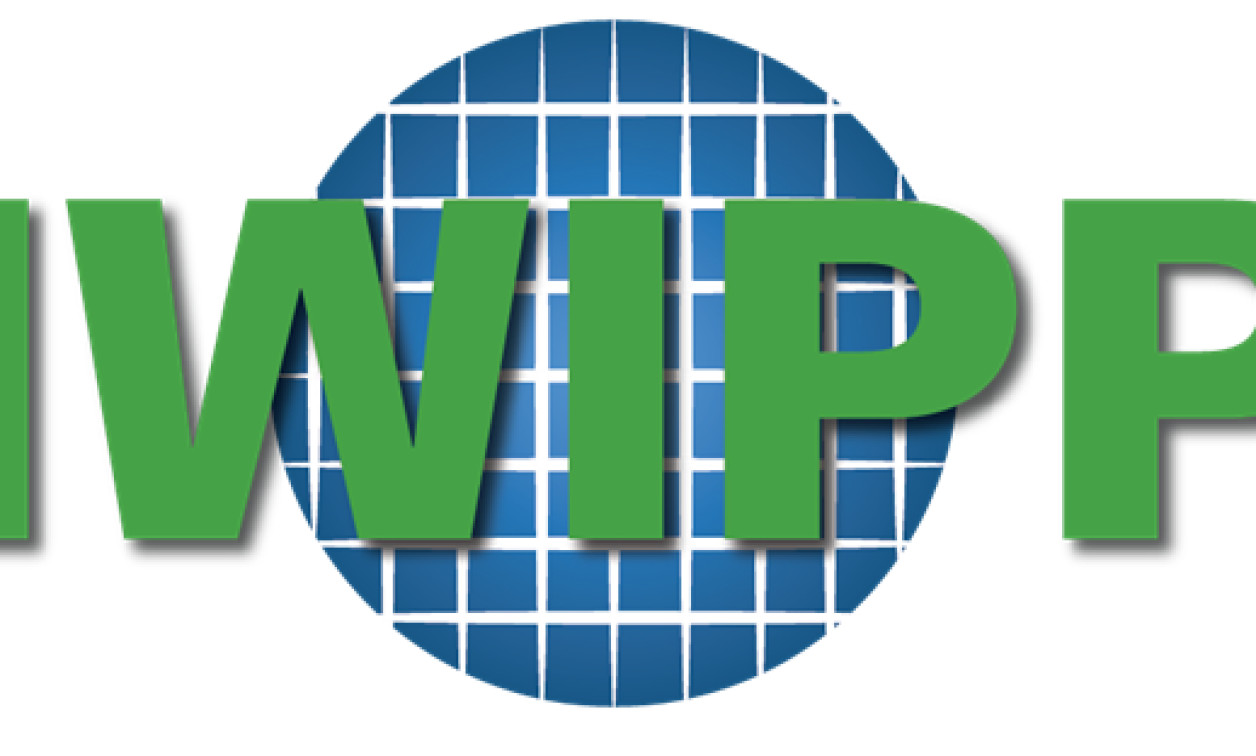 International Workshop on Integrated Power Packaging (IWIPP) Offering ...