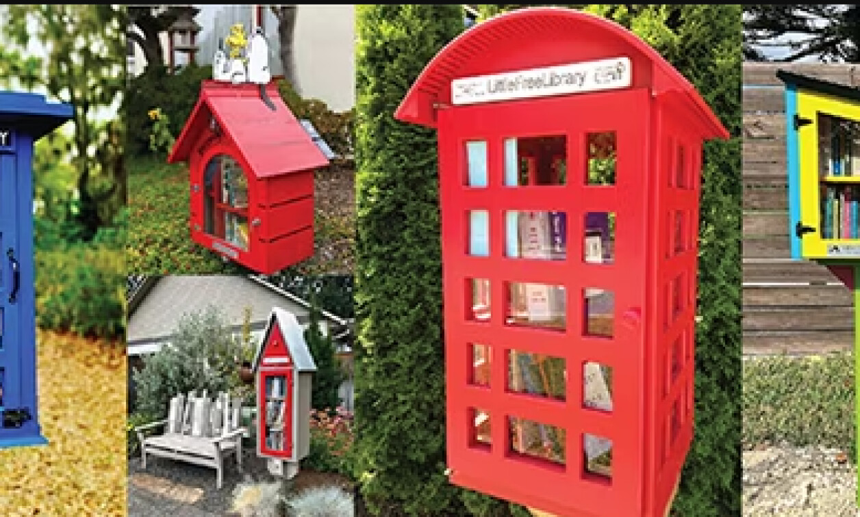 element14 and Hackster Communities Host Little Free STEM Library Design Challenge - Embedded ...