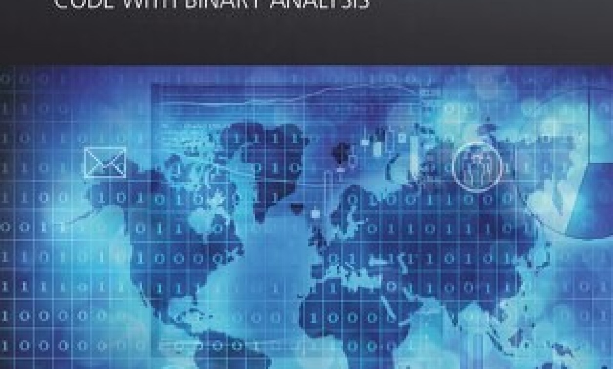 Eliminating Vulnerabilities in Third-Party Code with Binary Analysis ...