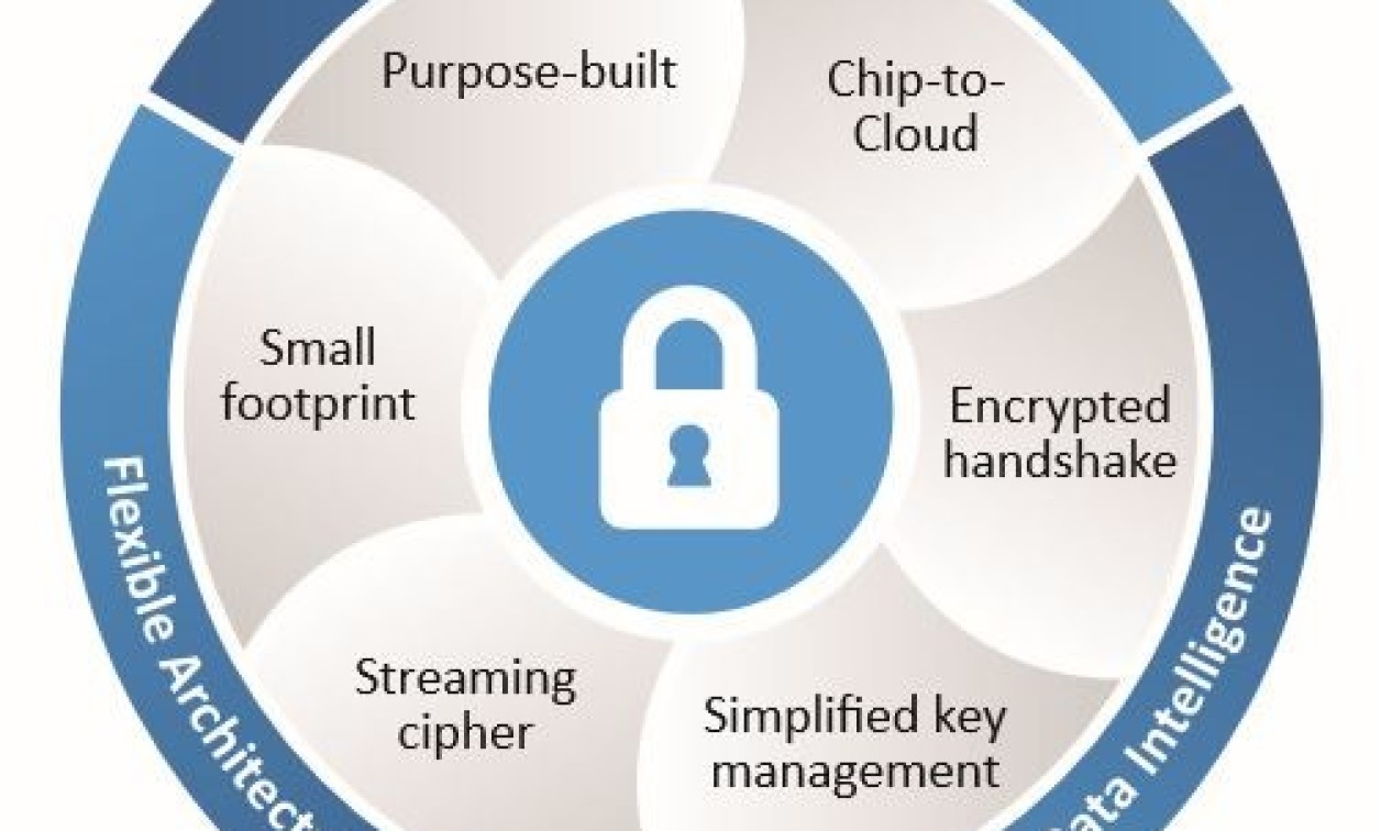 The Need for IoT Advanced Security: Why Do-It-Yourself Isn?t Enough for ...